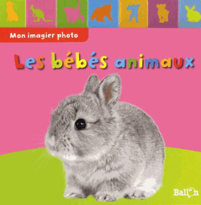 Les bébés animaux - cartonné - Collectif - Achat Livre | fnac