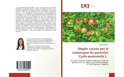 Dégâts causés par le carpocapse du pommier Cydia pomonella L. Sur deux ...