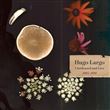 Huge, Large And Electric : Hugo Largo 1984-1991 - Hugo Largo - Vinyle ...