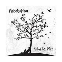 Falling into place, Musique du monde neuf ou occasion | fnac