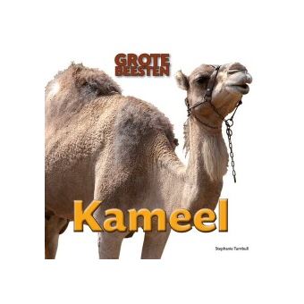 Grote Beesten (6-8J) - KAMEEL - GROTE BEESTEN - Stephanie Turnbull ...