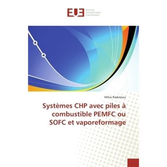 Systèmes CHP avec piles à combustible PEMFC ou SOFC et vaporeformage ...
