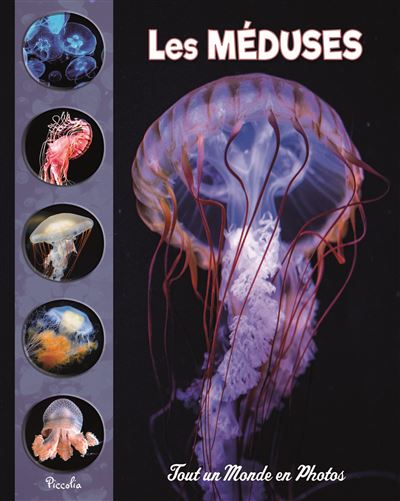 Les méduses - broché - Collectif - Achat Livre | fnac
