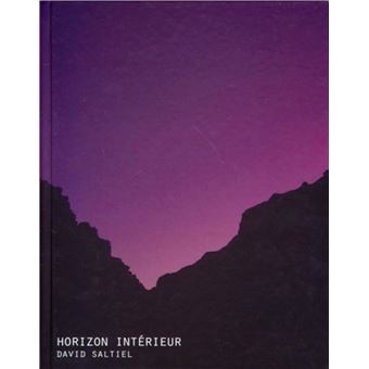 Horizon Intérieur David Saltiel - broché - Marc Donnadieu, Xavier ...