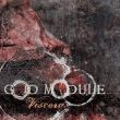 Viscera - God Module - CD album - Achat & prix | fnac