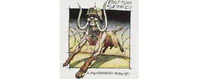 Built for speed - Motörhead Tribute - CD album - Achat & prix | fnac