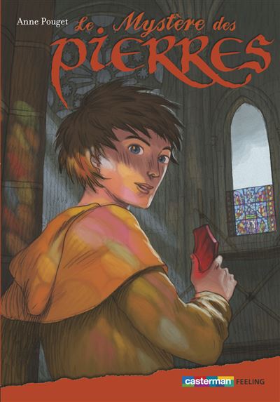 Le mystère des pierres - broché - Anne Pouget - Achat Livre ou ebook | fnac