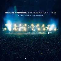 Muziek : Nieuwe CD’s, Vinyles, Muziekinstrumenten bij Fnac | fnac België