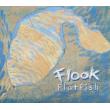 Flatfish - Flook - CD album - Achat & prix | fnac