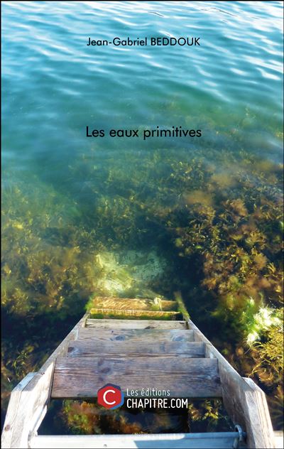 Les eaux primitives - broché - Jean-Gabriel Beddouk - Achat Livre | fnac