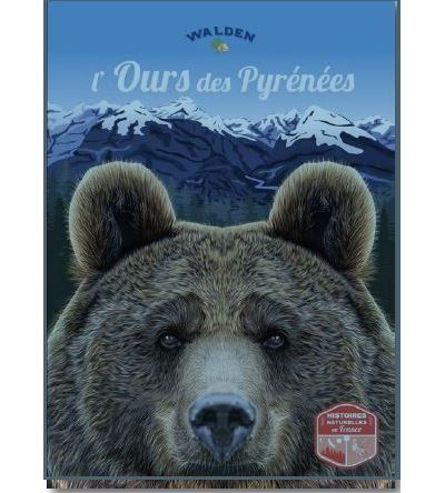 L'ours des Pyrénées - cartonné - ASSOCIATION PAYS DE L OURS - Achat ...