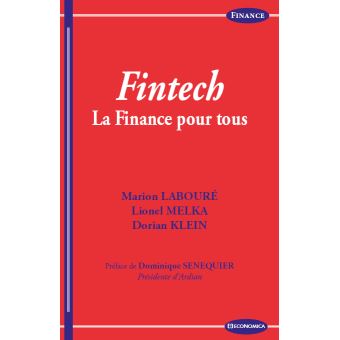 Fintech La finance pour tous - broché - Lionel Melka, Dorian Klein ...