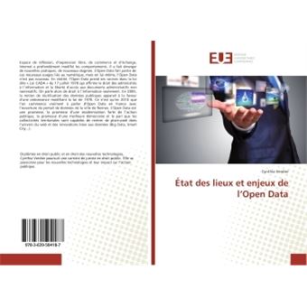 Etat des lieux et enjeux de l'Open Data - broché - Cynthia Verdier - Achat Livre | fnac
