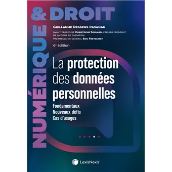 La protection des donnees personnelles Les principes clés de décryptage du RGPD - broché ...
