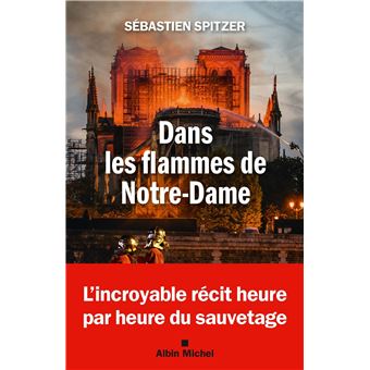 Dans les flammes de Notre-Dame - broché - Sébastien Spitzer - Achat ...