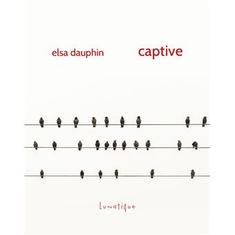 Captive - broché - Elsa Dauphin - Achat Livre ou ebook | fnac