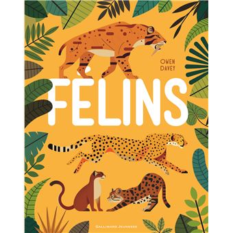 Félins - cartonné - Owen Davey, Catherine Destephen - Achat Livre | fnac