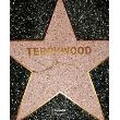 Terrywood - relié - Terry Richardson - Achat Livre | fnac