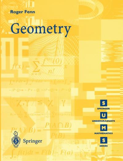 Geometry - Poche - Roger Fenn - Achat Livre ou ebook | fnac
