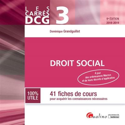 Dcg 3 - droit social - 9eme edition 42 fiches de cours pour acquerir ...
