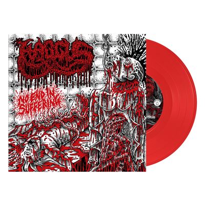 No End In Suffering Édition Limitée Vinyle Rouge - Haggus - Vinyle ...