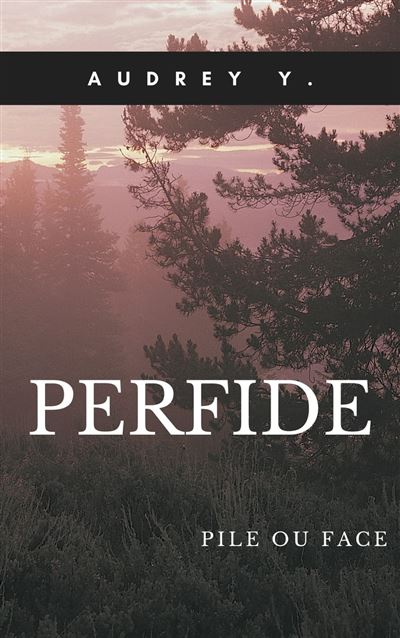 PERFIDE Pile ou Face - ebook (ePub) - Audrey Y. - Achat ebook | fnac