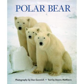 Polar bear - broché - D. Matthews - Achat Livre | fnac
