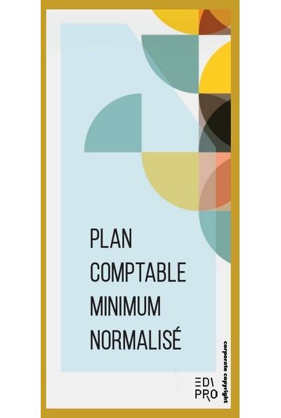 Plan comptable minimum normalisé 2020 - broché - Collectif - Achat Livre | fnac