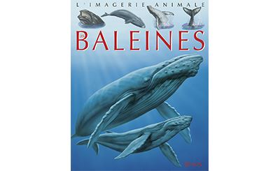 Les baleines - cartonné - Agnès Vandewiele, Emilie Beaumont, Jacques ...