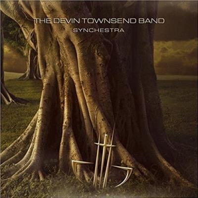 Accelerated evolution - Devin Townsend - Vinyle album - Achat & prix | fnac
