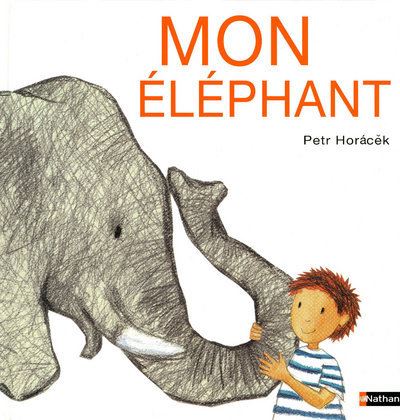 Mon elephant - cartonné - Petr Horacek - Achat Livre | fnac