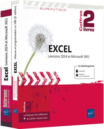 Excel (versions 2024 et Microsoft 365) Coffret de 2 livres : Le Manuel de référence + le Cahier ...