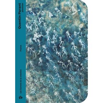 Quentin Parant, plasticien - broché - Quentin Parant, Bernard Noël ...
