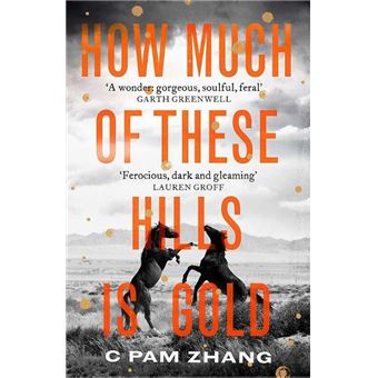 HOW MUCH OF THESE HILLS IS GOLD - broché - C Pam Zhang - Achat Livre | fnac