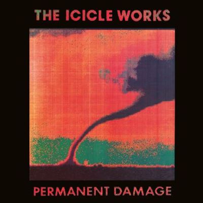 Permanent Damage Édition Limitée Vinyle Jaune Translucide - The Icicle ...