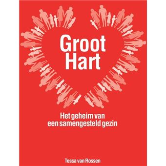 Groot hart, het geheim van een samengesteld gezin - broché - Tessa Van ...