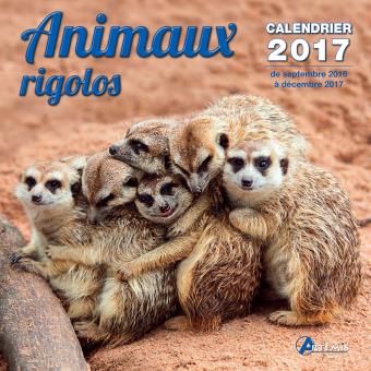 Calendrier animaux rigolos 2017 - broché - Collectif - Achat Livre | fnac
