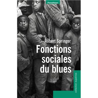 Fonctions sociales du blues - broché - Robert Springer - Achat Livre | fnac