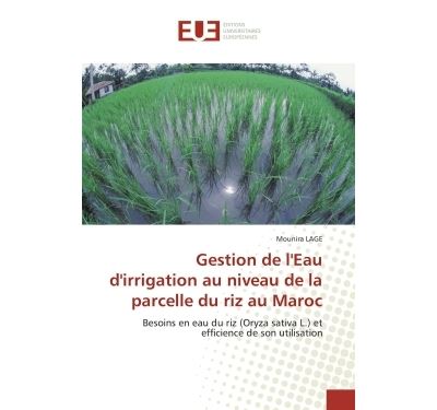 Gestion de l''eau d''irrigation au niveau de la parcelle du riz au ...