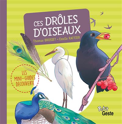 Les P'tits Secrets - P'tits secrets des drôles d'oiseaux - Brosset ...