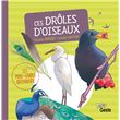 Les P'tits Secrets - P'tits secrets des drôles d'oiseaux - Brosset ...