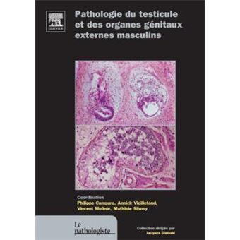 Pathologie du testicule et des organes génitaux externes masculins ...