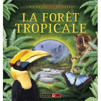 Foret tropicale - broché - Jinny Johnson - Achat Livre | fnac