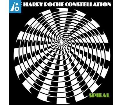 Spiral Vinyle Blanc - Harry Roche Constellation - Vinyle album - Achat ...