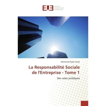La Responsabilité Sociale de l'Entreprise Tome 1 - broché - Mohamed-Najib SMAILI - Achat Livre ...