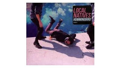 Hummingbird - Local Natives - Vinyle album - Achat & prix | fnac