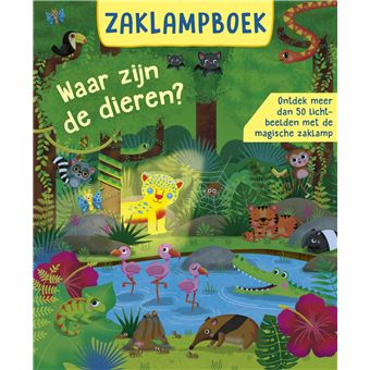 Zoekboeken - Ontdek meer dan 50 lichtbeelden met de magische zaklamp ...