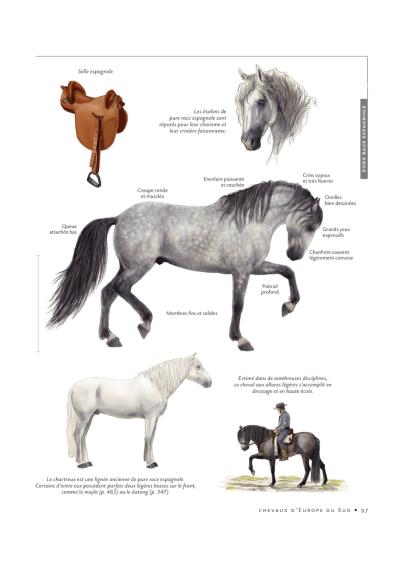 Tous les chevaux du monde - broché - Elise Rousseau, Yann Le Bris ...