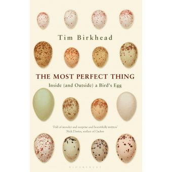MOST PERFECT THING - Inconnus - Achat Livre ou ebook | fnac