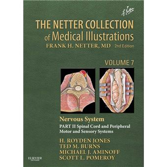netter nervous system